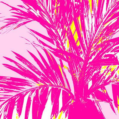 Fine Art Photography Wendy Concannon