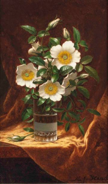 Still Life - Hawthorne Fine Art