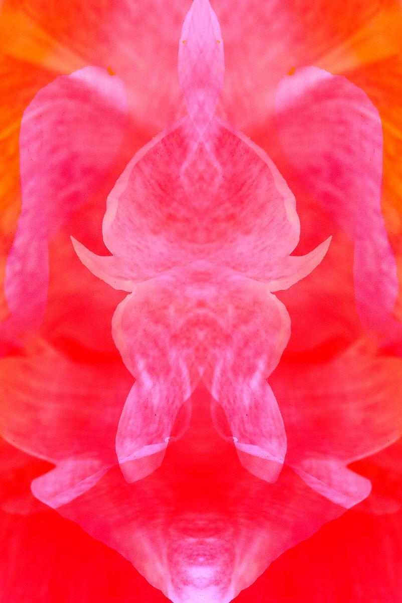 New Work - Jim Graham Photography