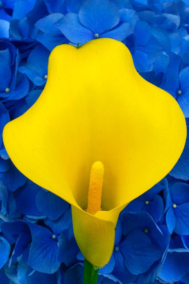 New Work - Jim Graham Photography