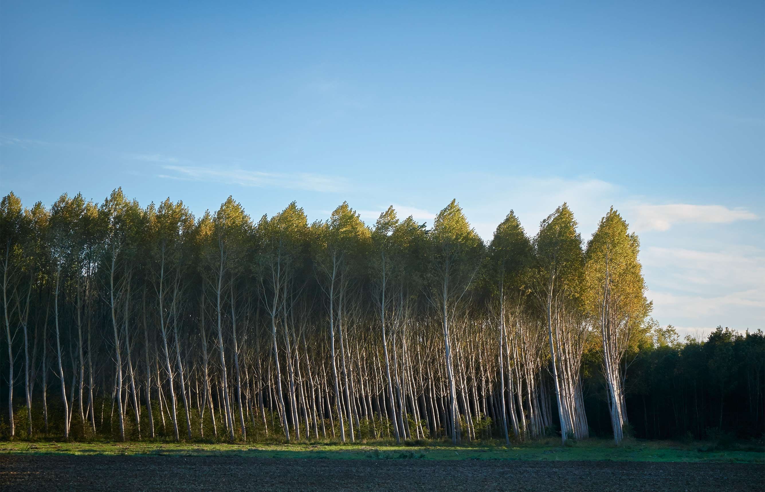 My Eye - Sean Kernan