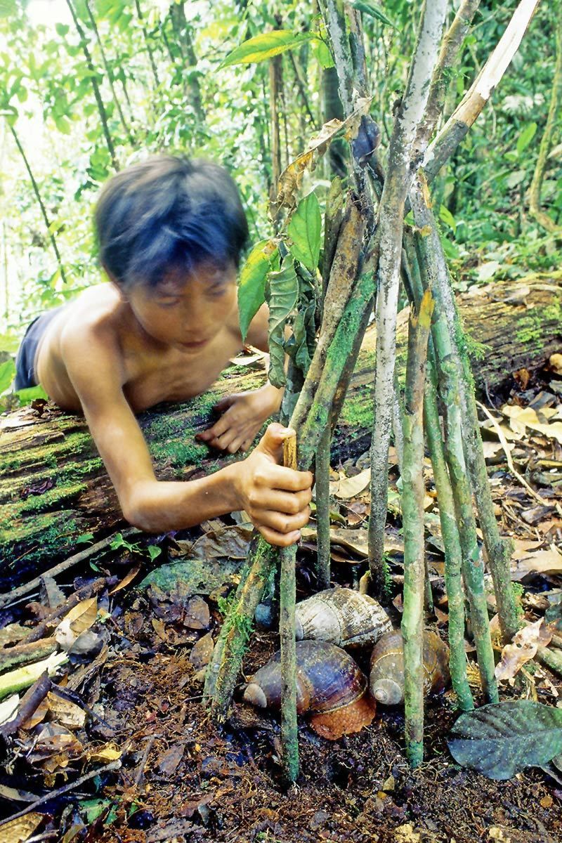 Boy Amazon Rainforest Pictures Protecting The Amazon Rainforest