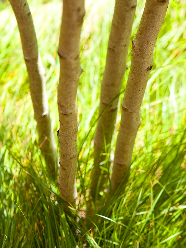 Residential - John Sutton Photography