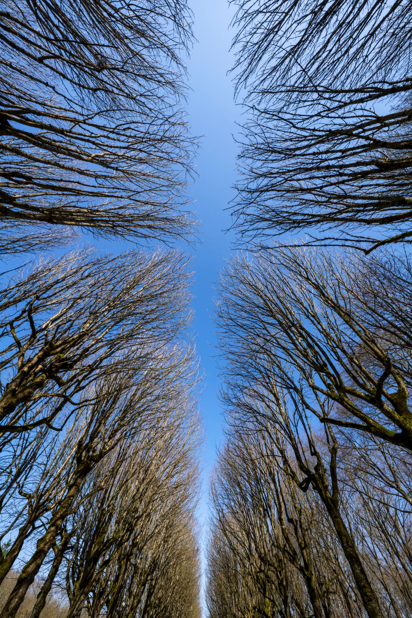 nature - Tom Rossiter