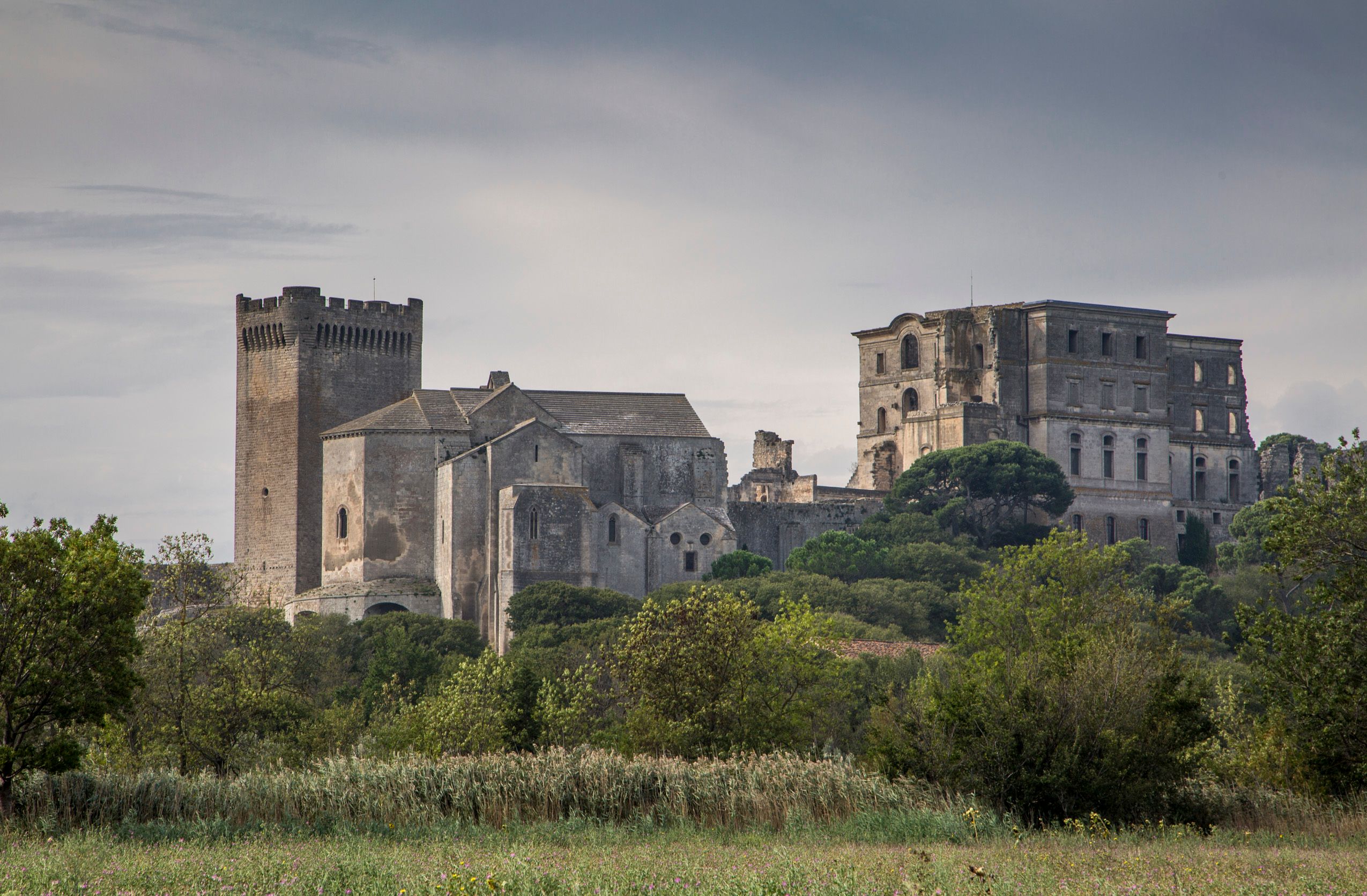 mexico - Tom Rossiter