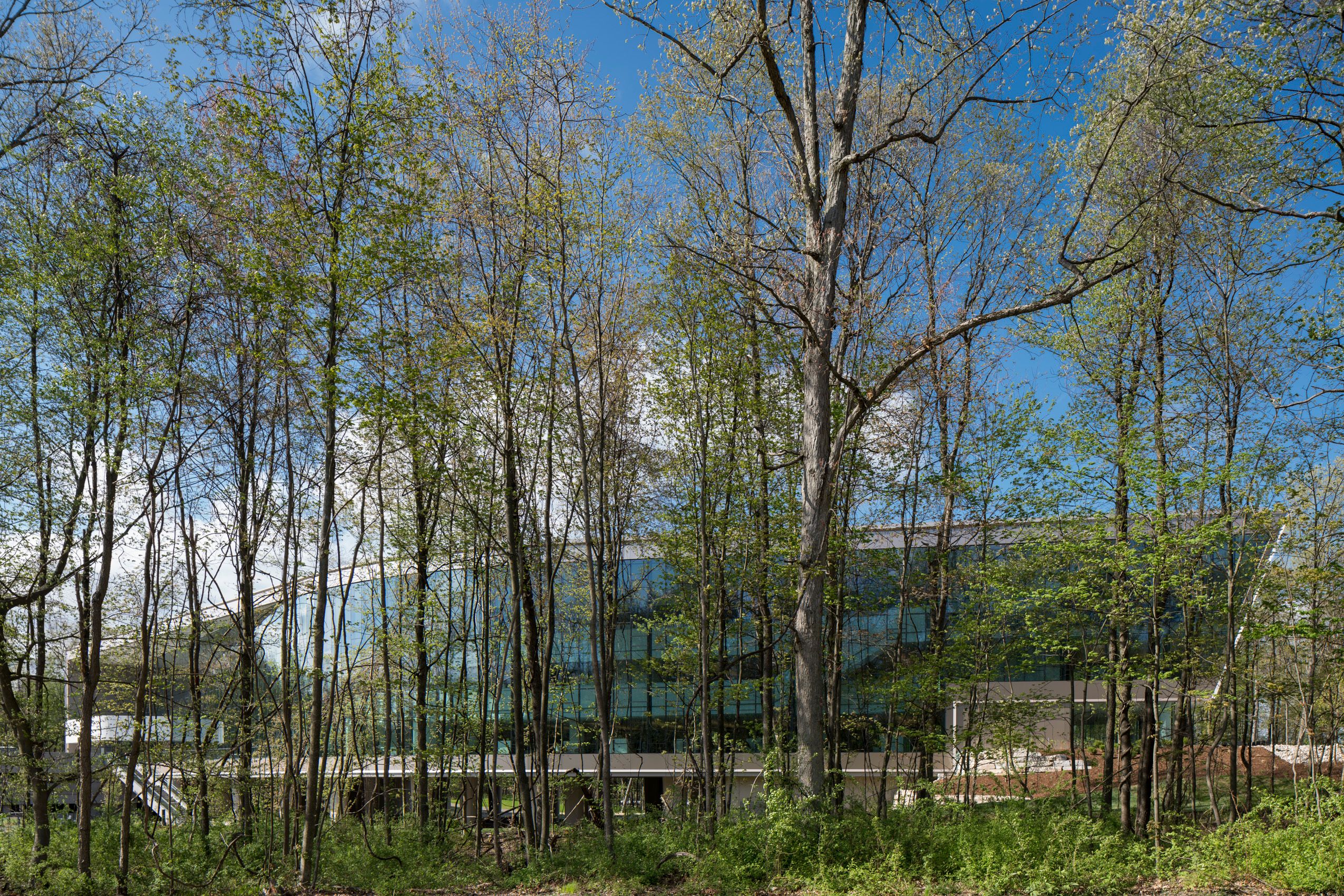 architecture - Tom Rossiter