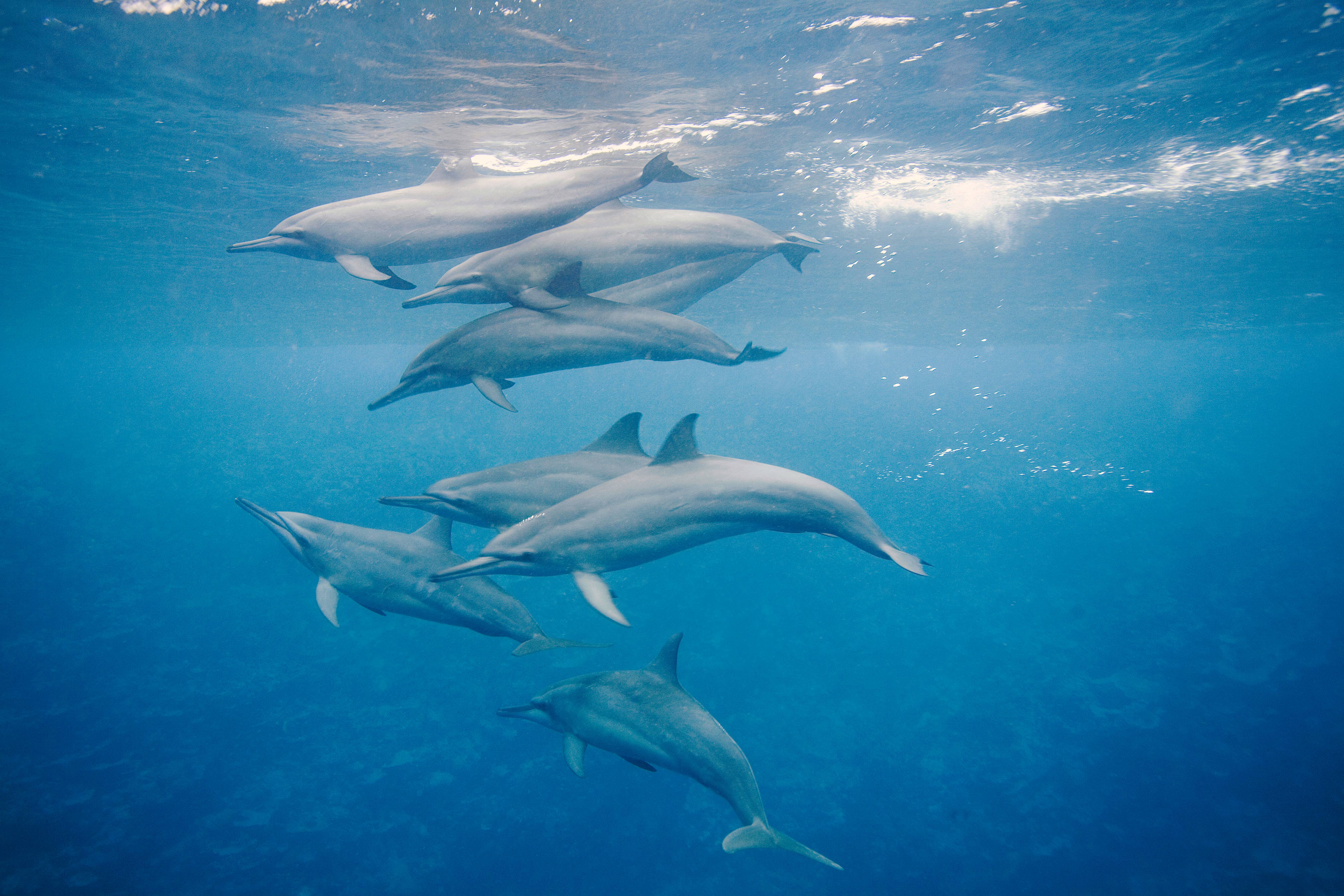 Sara Shoemaker Lind Photography