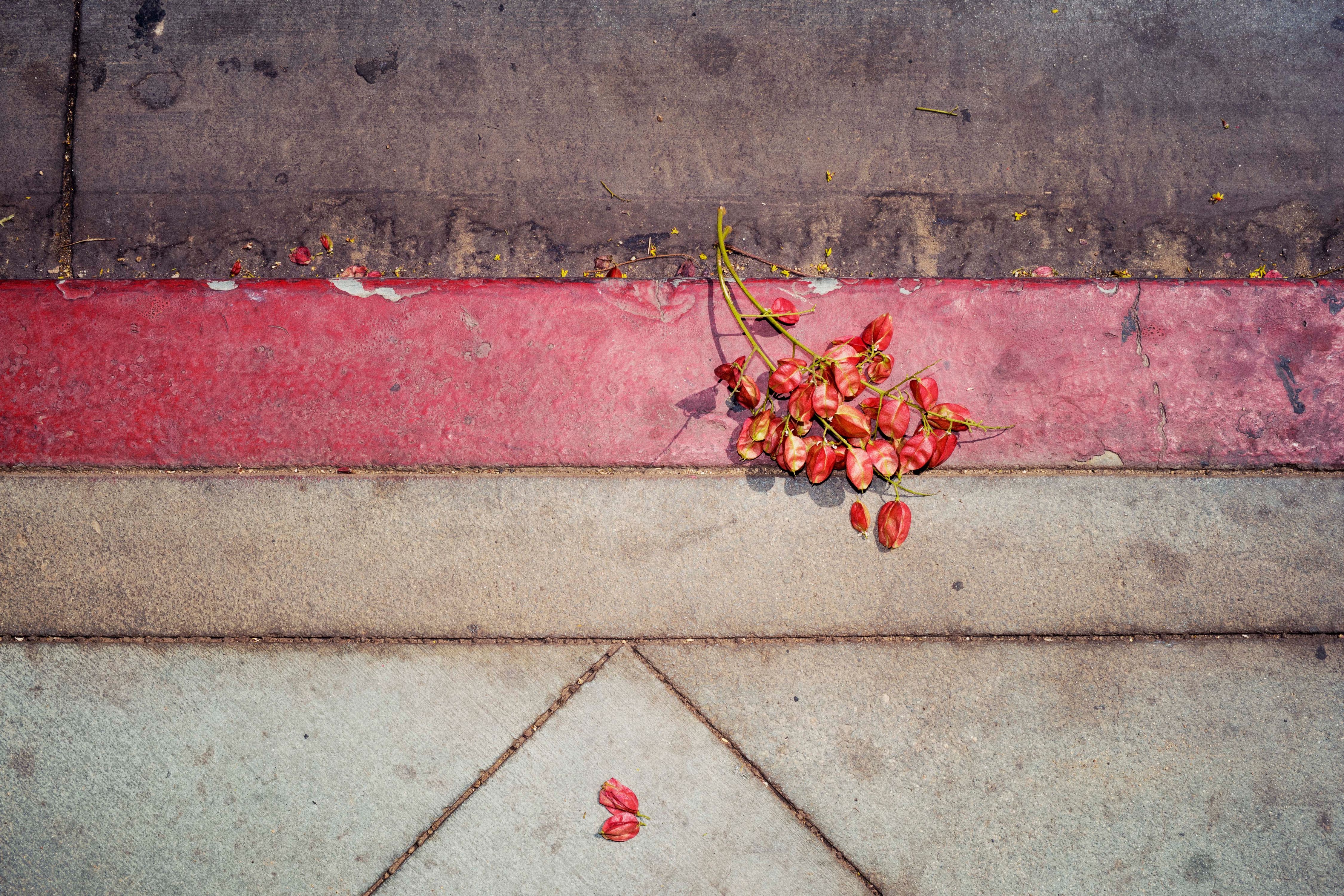 Sarah Lee PHOTOGRAPHER