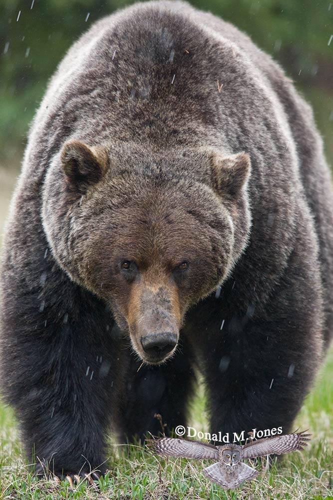 Portfolios - Donald M. Jones