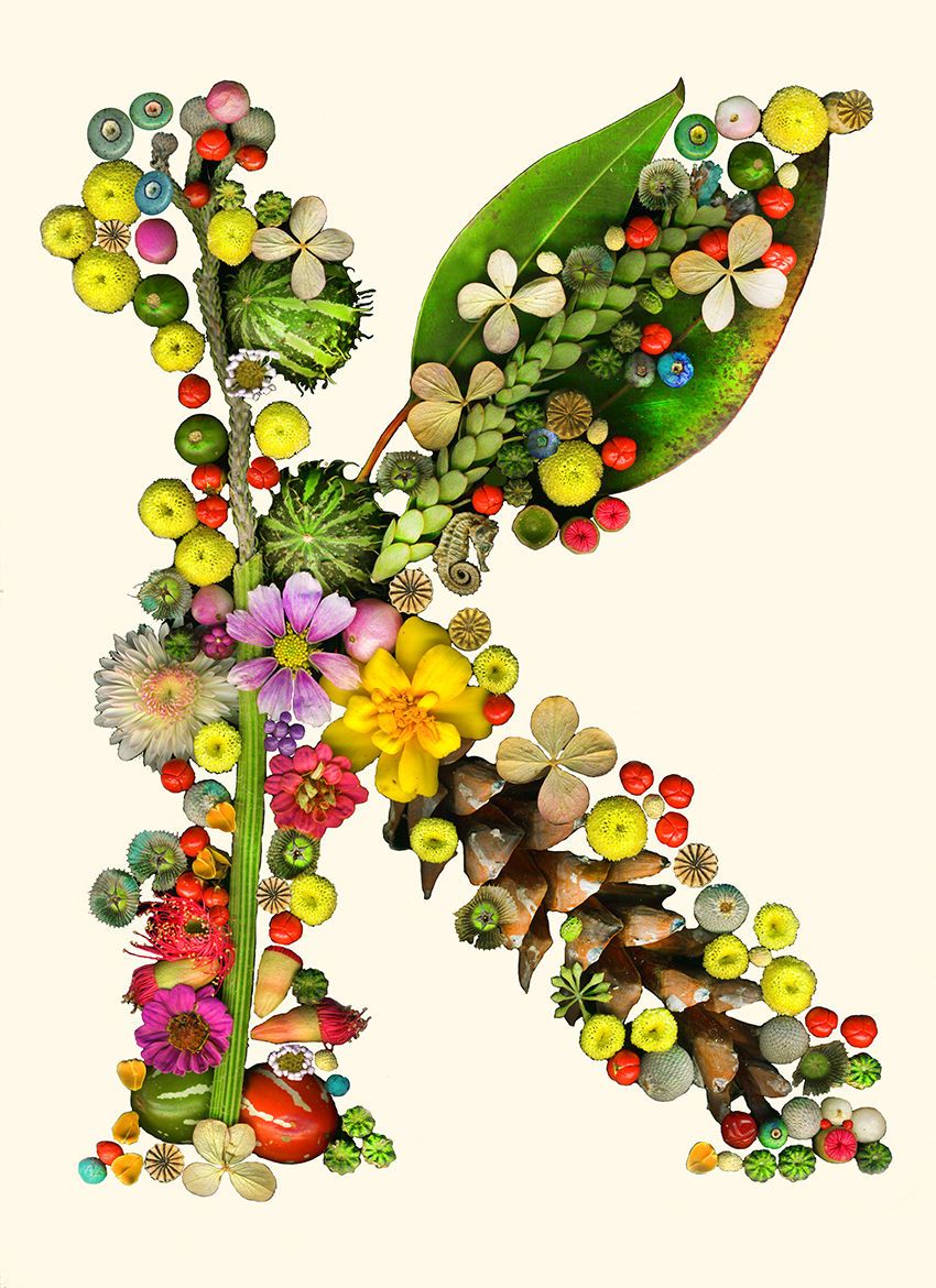 Botanical Alphabet - Fran Liscio