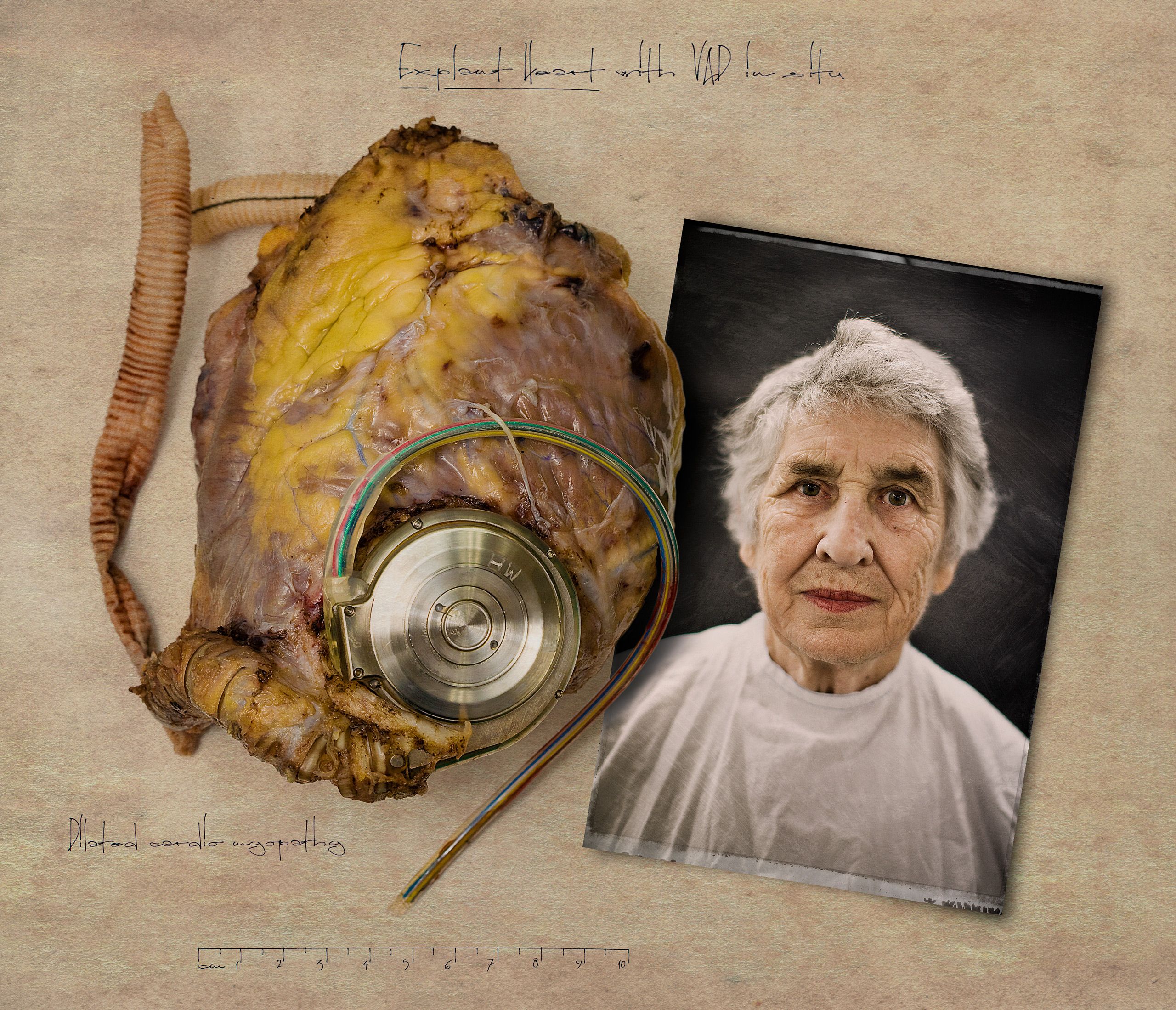 Steve Wise | 27Creative