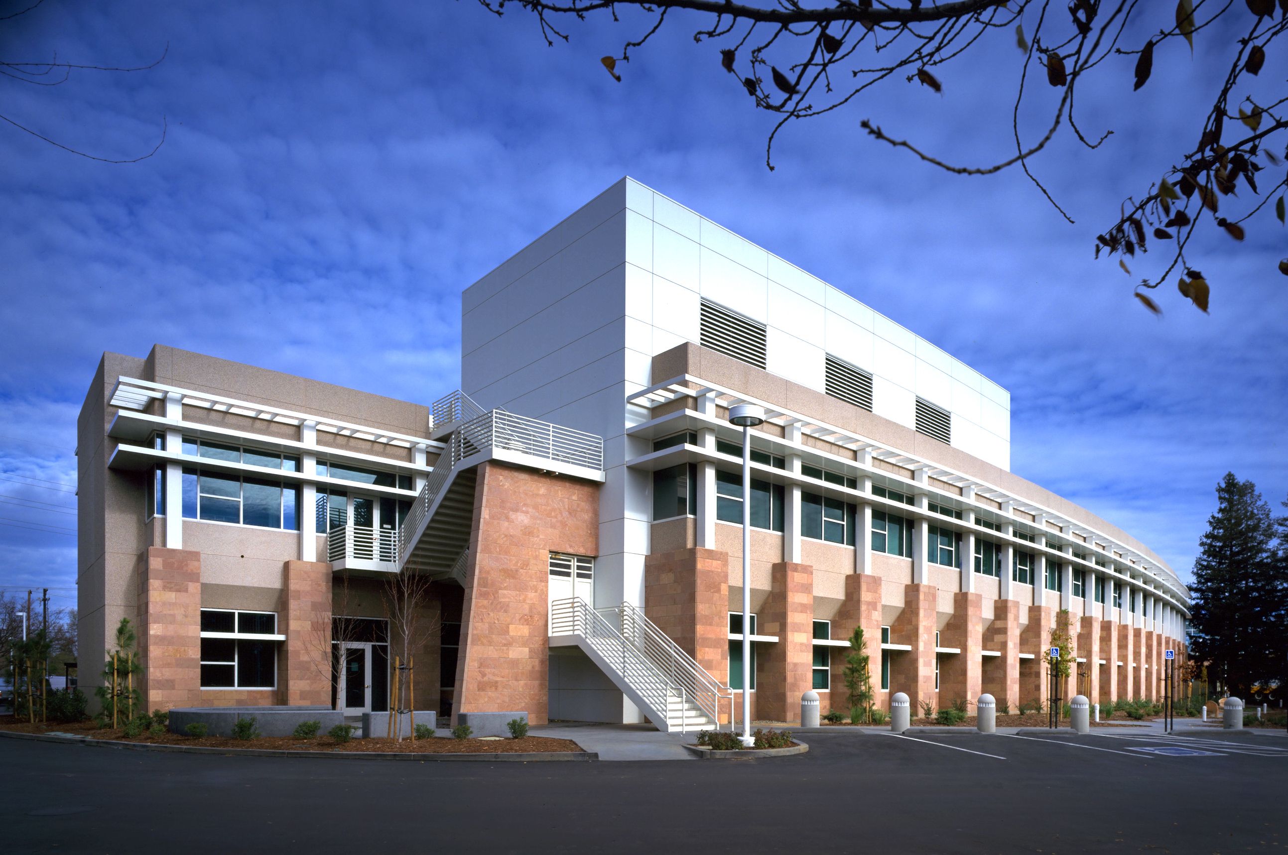 Civic - Ed Asmus Photography