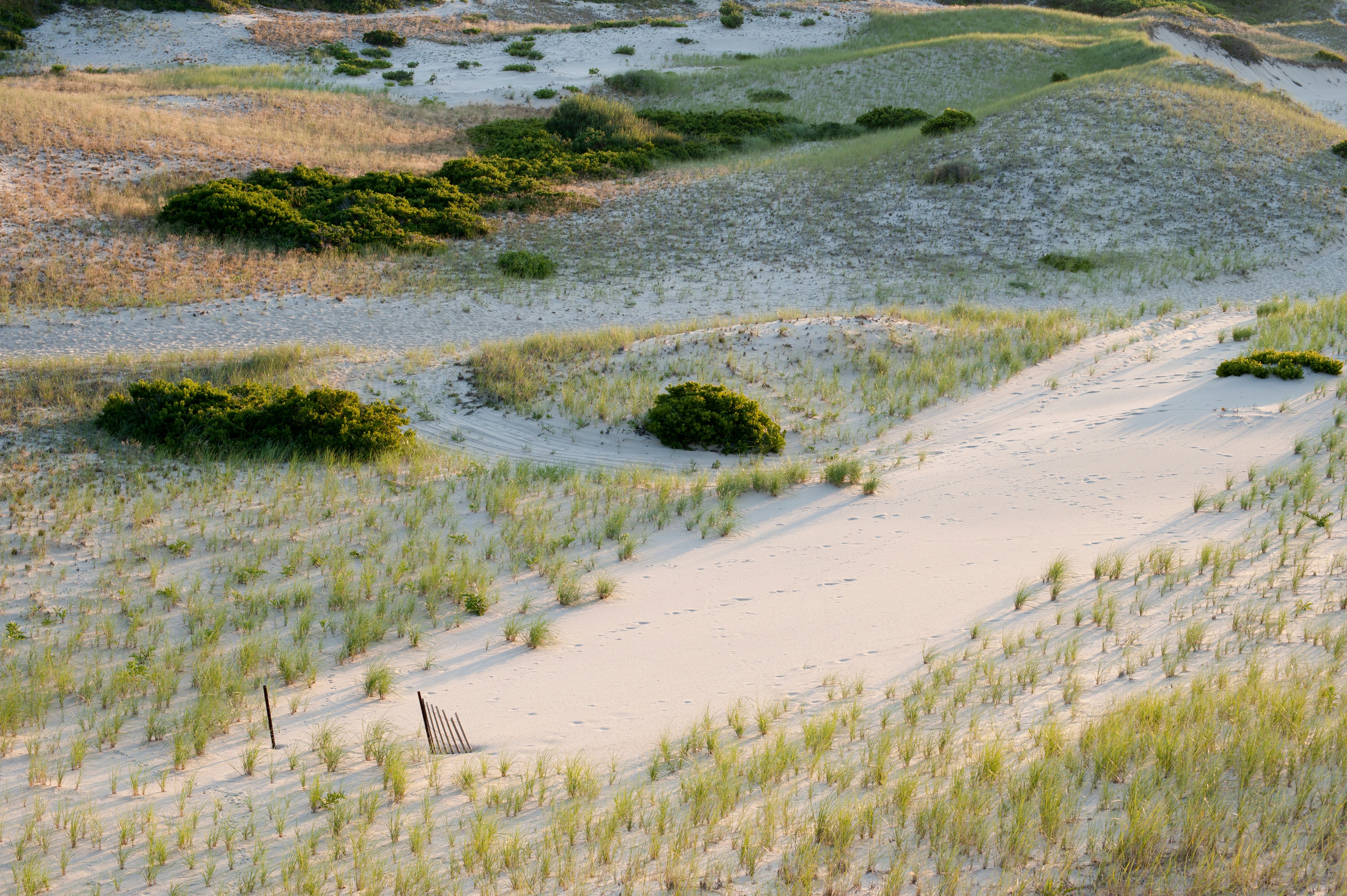 The Dune Shacks of Provincetown - Jane Paradise Photography